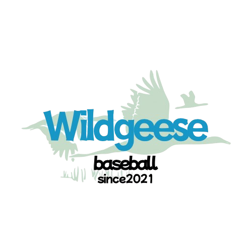 メンバー・スポンサー募集 - Wild Geese Baseball Team｜宮城県仙台市少年野球チーム