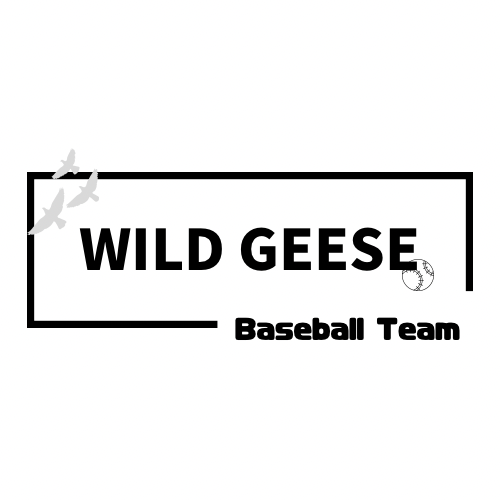 Wild Geese Baseball Team｜宮城県仙台市少年野球チーム