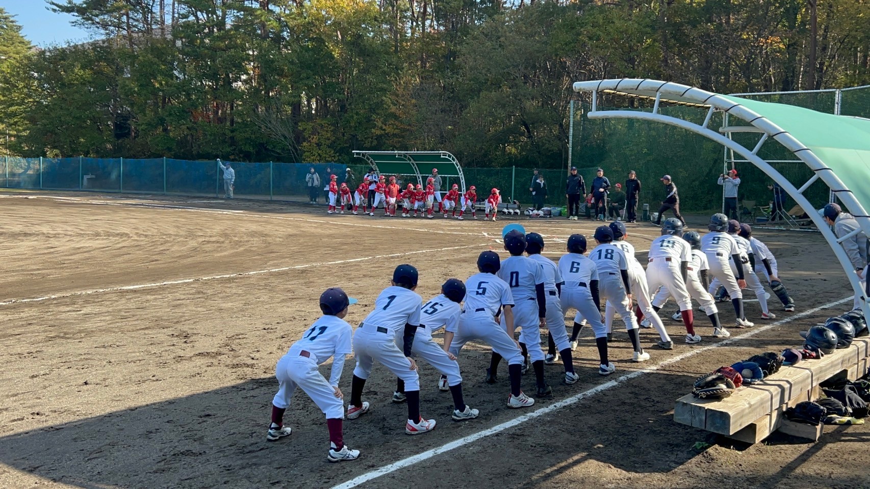 チームについて - Wild Geese Baseball Team｜宮城県仙台市少年野球チーム
