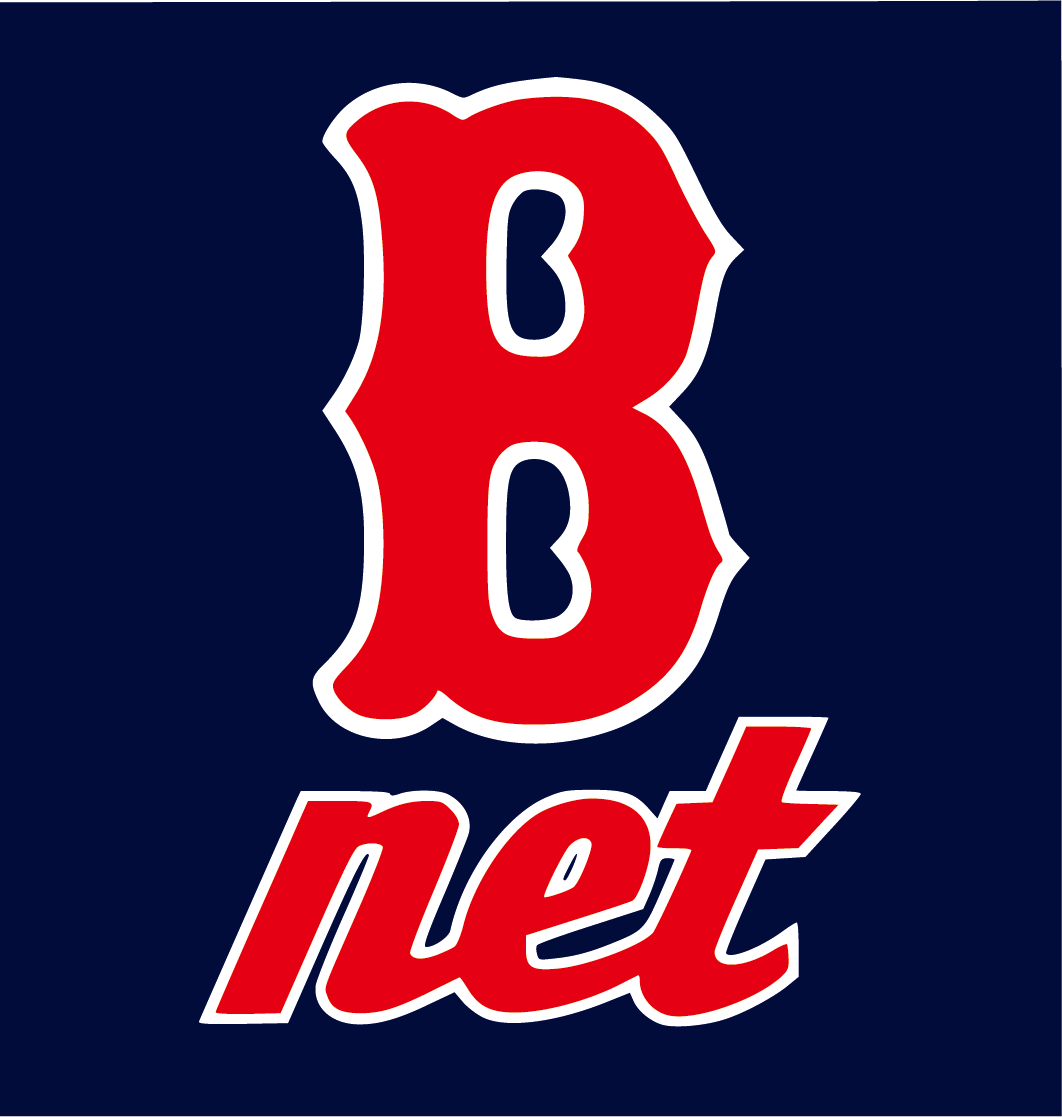 B-net/yamagata | 山形県山形市の社会人硬式野球チーム