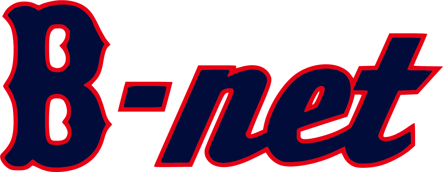 B-net/yamagata | 山形県山形市の社会人硬式野球チーム